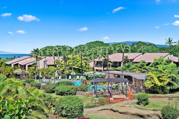 Wailea Ekahi 45d - Ocean & Garden Views, Beautifully Renovated, Split Ac, Wi-fi! - Haleakalā, HI
