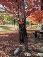 Pormenores do exterior