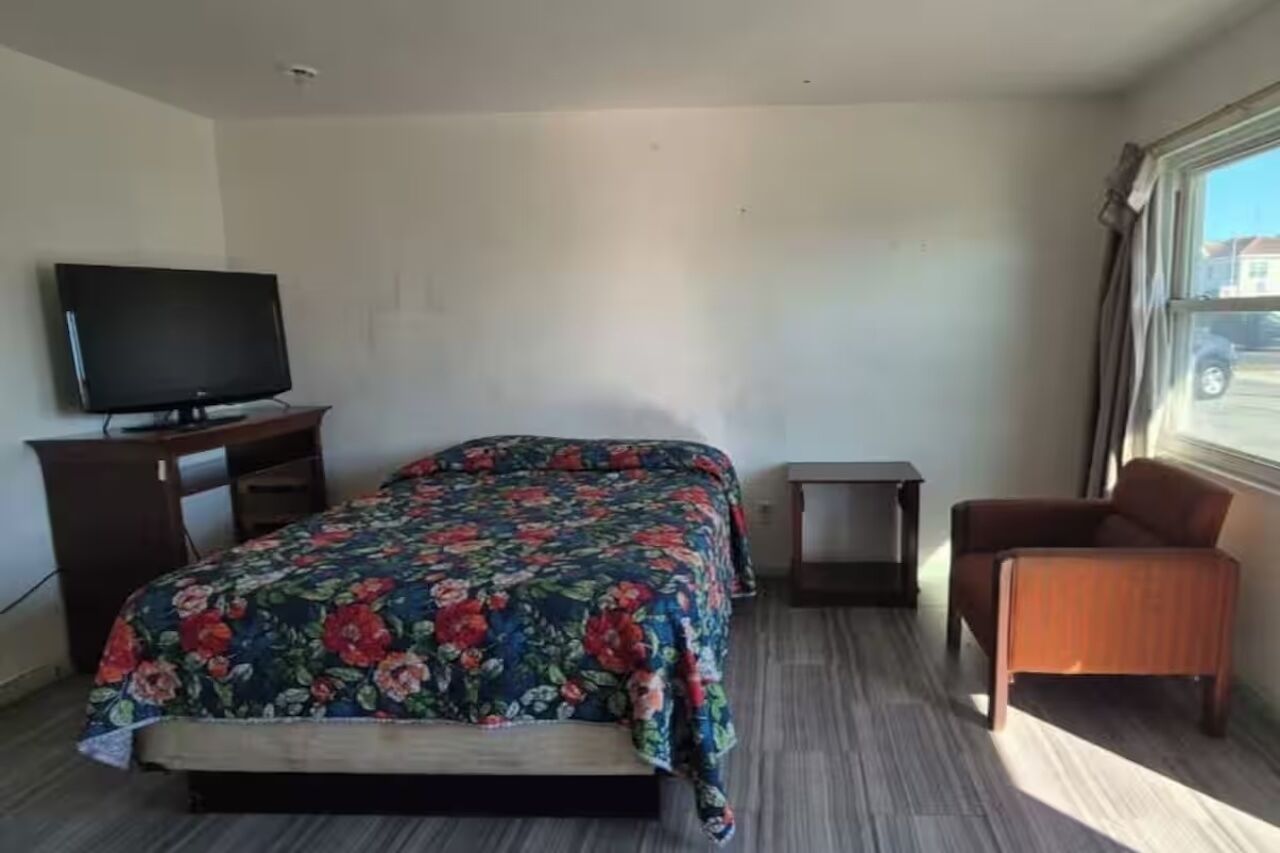 Comfortable Queen Bed Near Bayshore Boulevard | Free Parking - 坦帕