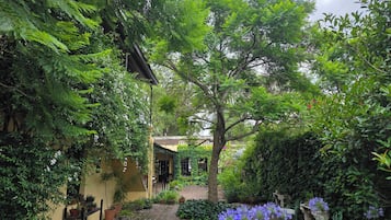 Área da propriedade