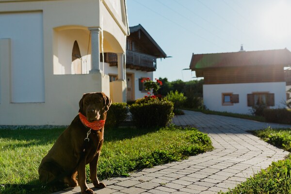 Grosszugiges Ferienhaus Im Landhausstil Im Vital Camp Bayerbach - Bayern