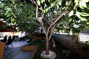 Jardim