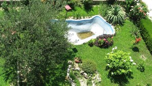 Um jardim com piscina, rodeado por plantas e árvores diversas.