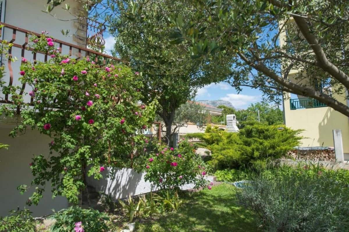 Um jardim com uma árvore florida em tons de rosa, uma piscina e um prédio com varanda.