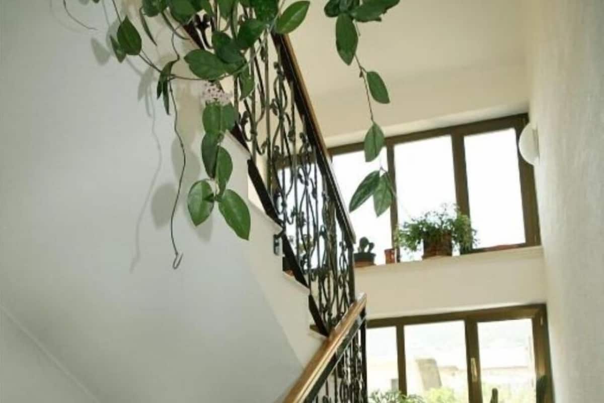 Uma escadaria com corrimão de ferro forjado, plantas em vasos no patamar e vista do exterior por grandes janelas.