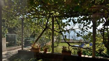 Terraço/pátio