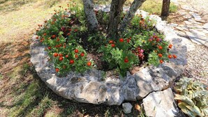 Um jardim com uma borda de pedra circular, árvores e plantas floridas.