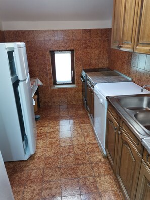 Apartamento (A1) | Cozinha privada | Um frigorífico, um micro-ondas, um forno, uma placa de cozinha 