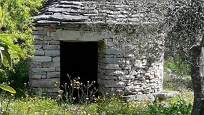 Uma cabana de pedra com telhado de palha, rodeada por vegetação e flores silvestres.