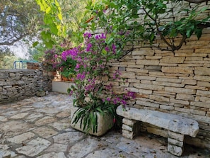 Pátio interior