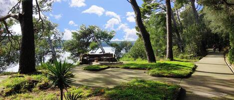 Vista para a cidade desde o alojamento