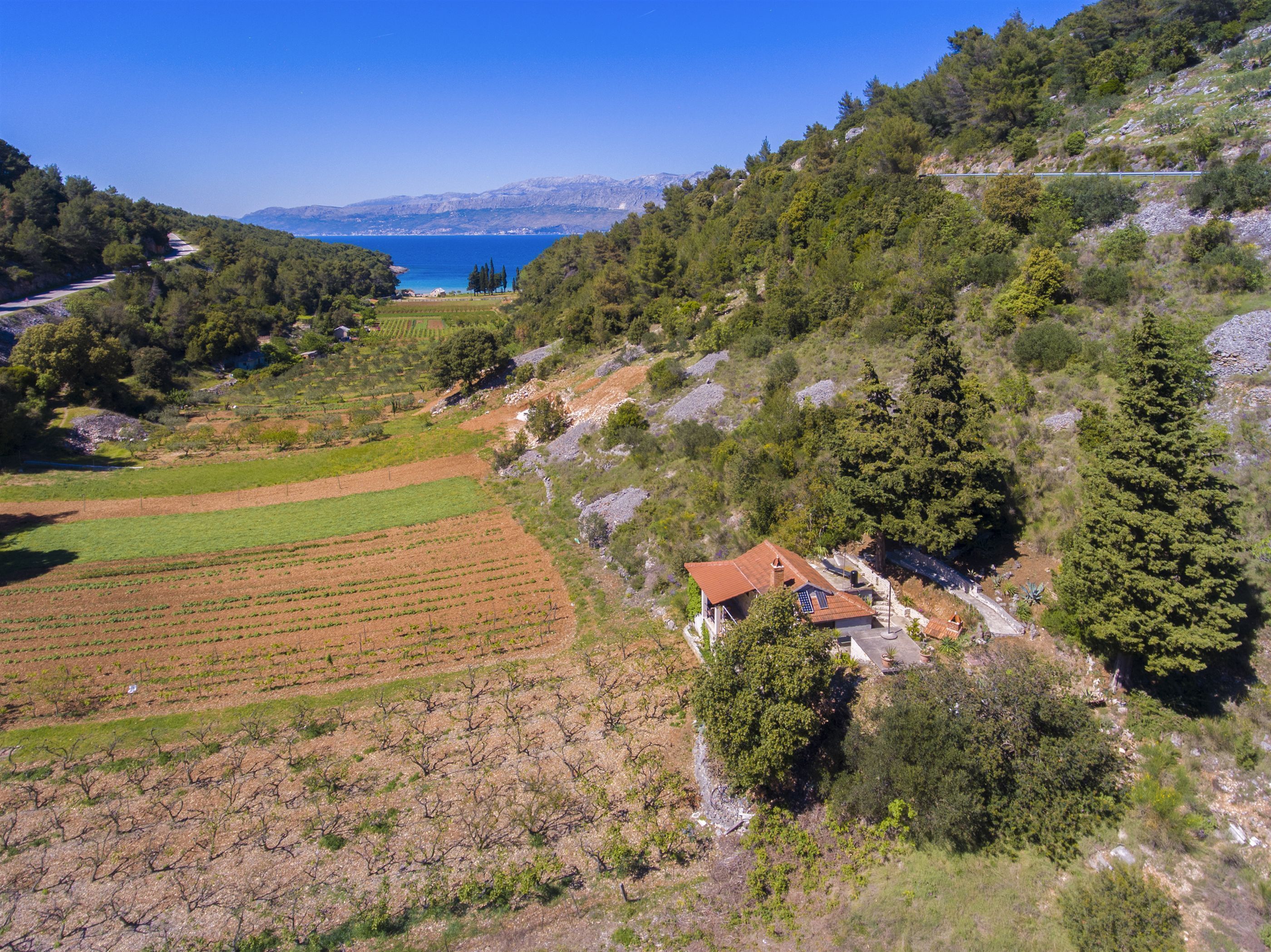 Paisagem rural com uma casa rodeada por campos e árvores.