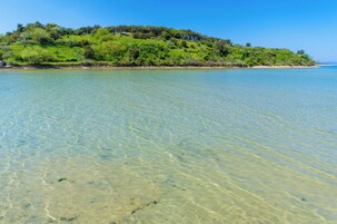 Uma praia com águas claras e rasas, e uma colina verde coberta de árvores.