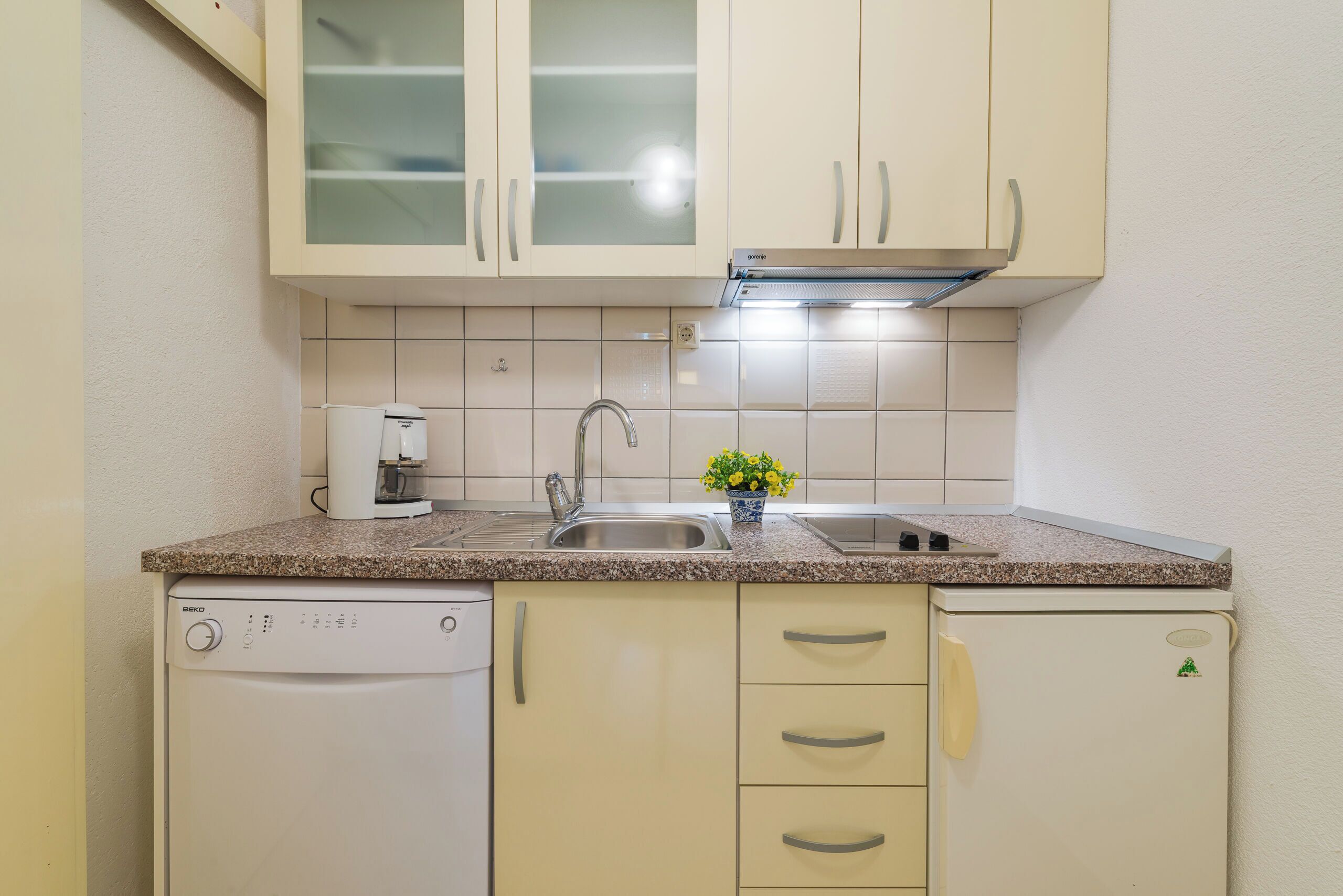 Apartamento (A4) | Cozinha privada | Um frigorífico, uma placa de cozinha, uma máquina de lavar louça 