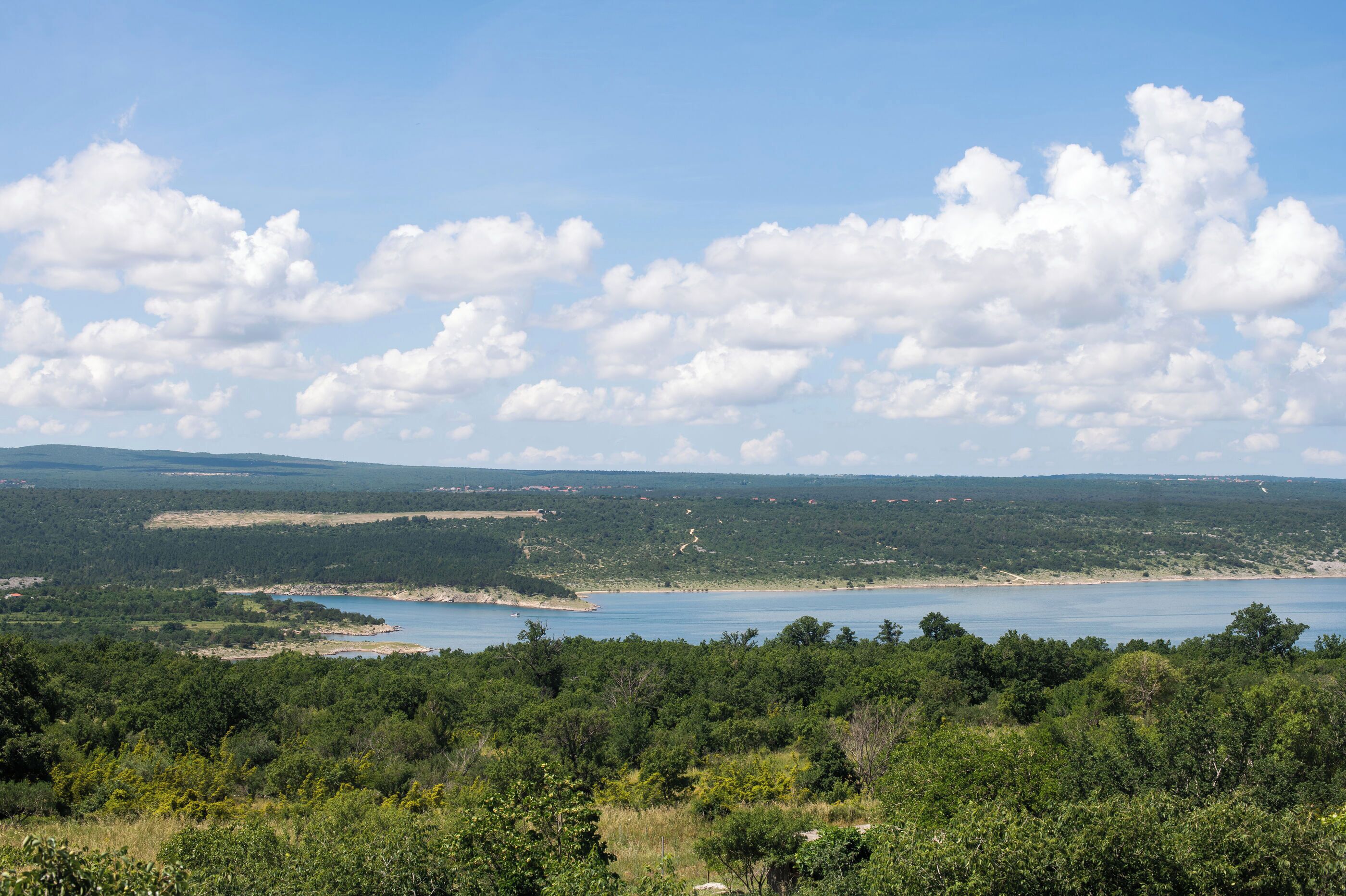 Paisagem costeira com floresta densa, um lago e uma linha de costa distante.