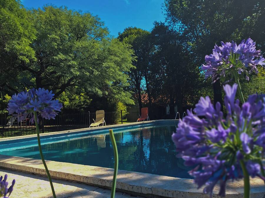 Piscina com deck de pedra, rodeada por árvores e flores roxas.