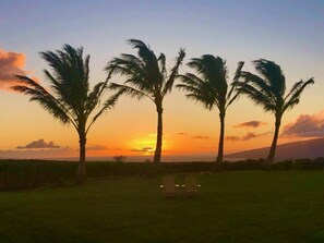 Maui Vista 3212 - Inviting 1 BR/1 BA near Beach Reviews, Deals & Photos ...