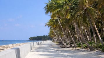 Perto da praia, praia de areia branca