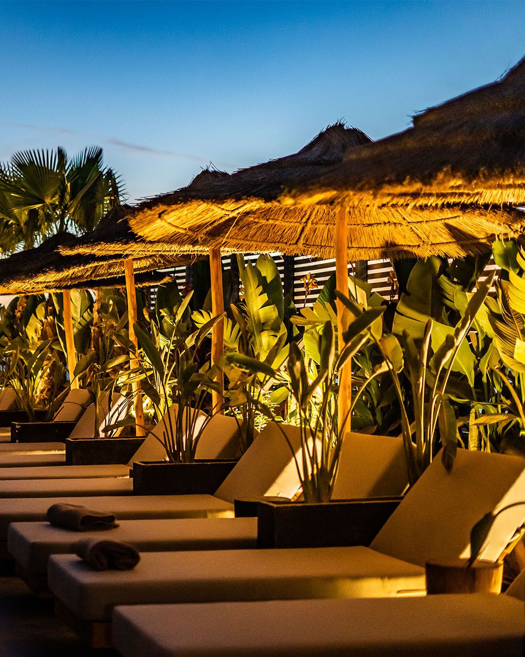 Terraço/pátio interior