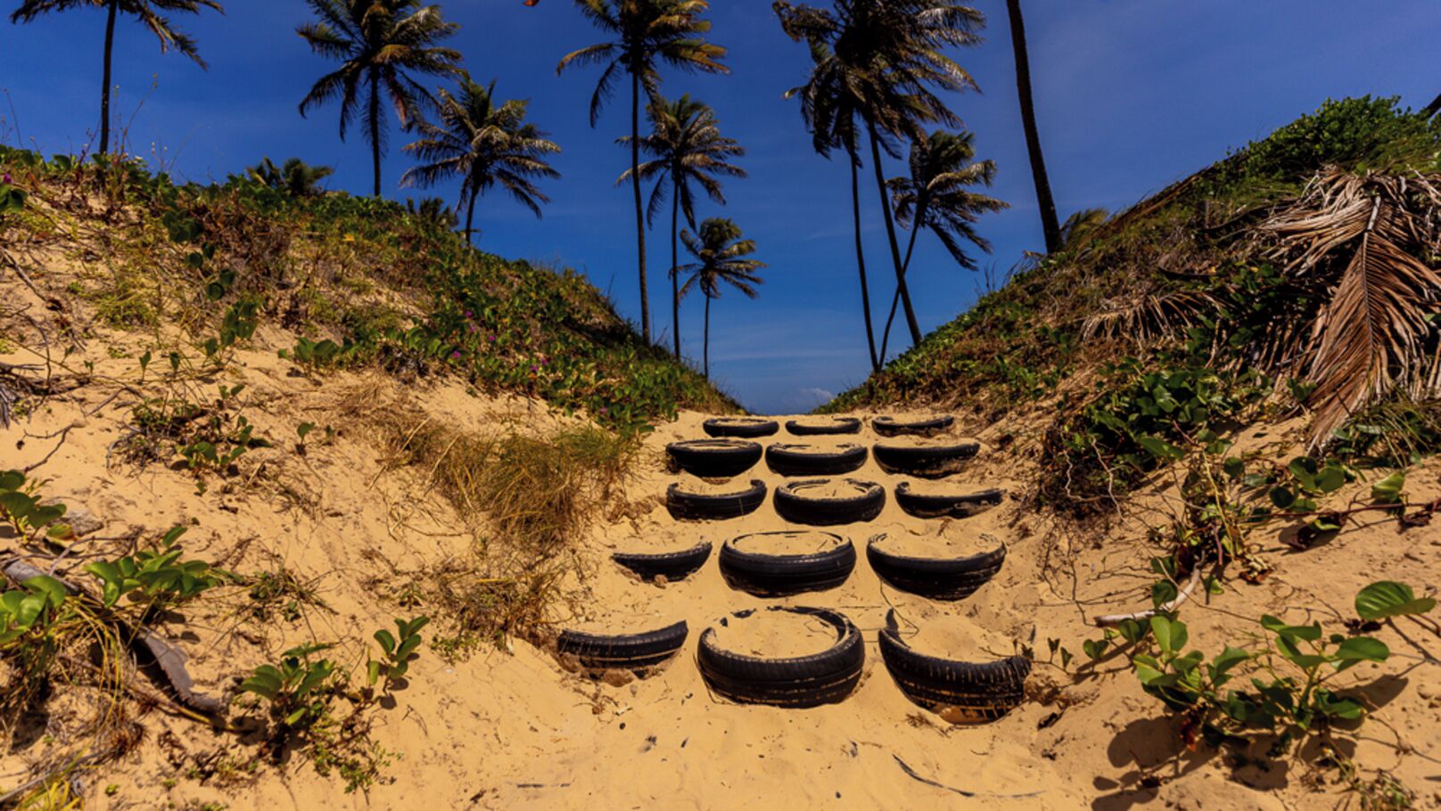 Um caminho de areia ladeado por pneus que leva a uma praia com palmeiras.