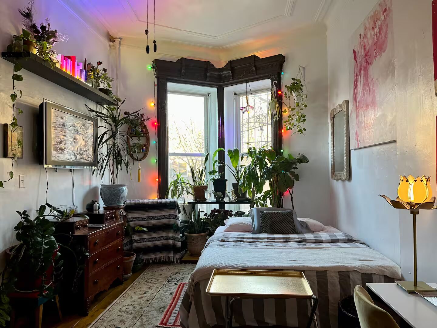 Unique Sunny Clean Brownstone Studio 1st Floor Ac Fast Wifi Close To Subway - Brooklyn, NY