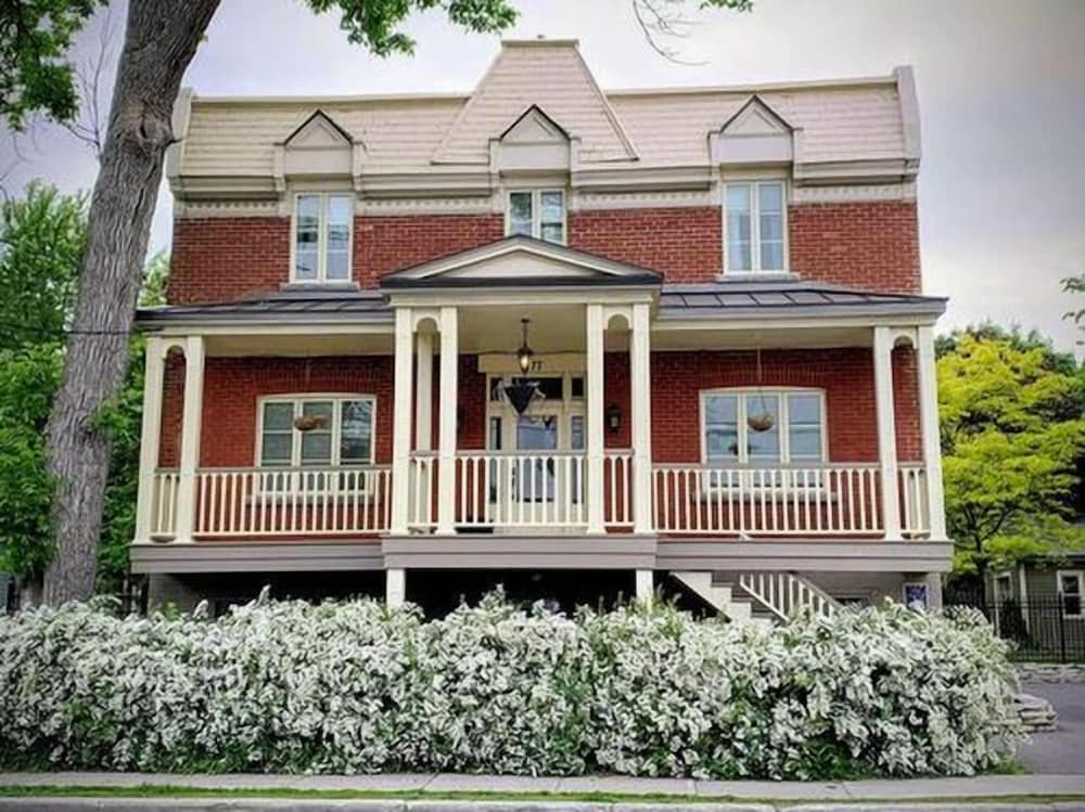 Appartements Saint-alexandre - Longueuil