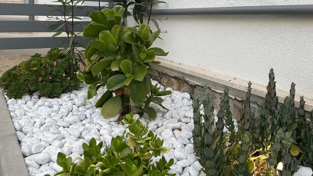 Uma área de jardim com paisagismo, diversas plantas e pedriscos brancos.
