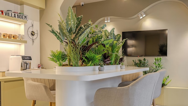 Cozinha moderna com bancada branca, duas cadeiras e diversas plantas.