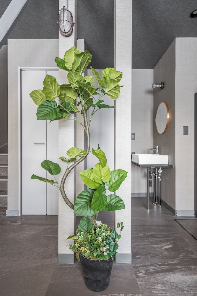 The Lavenridge - Furano