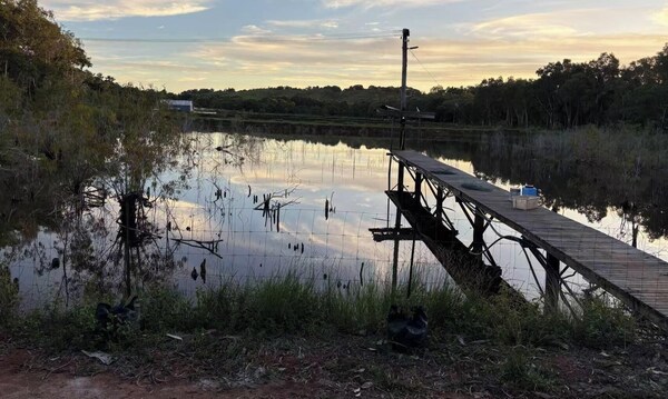 Sunshine Gardens Farmstay - Queensland
