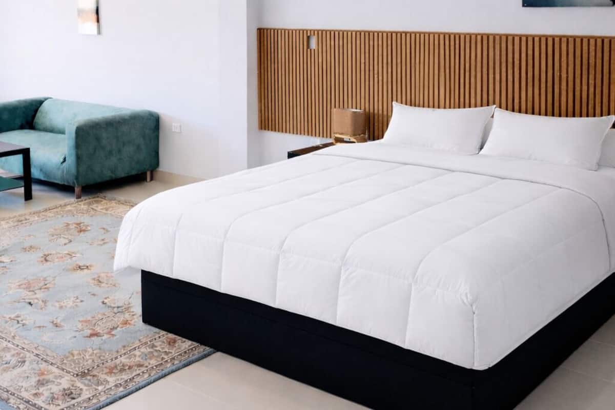 Quarto de hotel moderno com uma cama grande, um sofá verde, uma cabeceira de madeira e um quadro na parede.