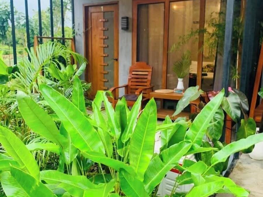 Uma área externa coberta com mesa e cadeiras de madeira, rodeada por plantas verdes exuberantes.