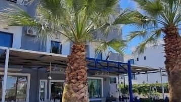 Terraço/pátio interior