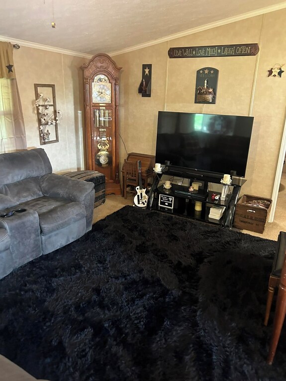 Wonderful 3-bedroom Mobile Home With Ac King Bed In Dreyfus - Kentucky