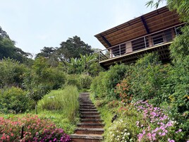Escadaria que leva a uma estrutura de madeira com varanda, cercada por vegetação exuberante e diversas plantas floridas.