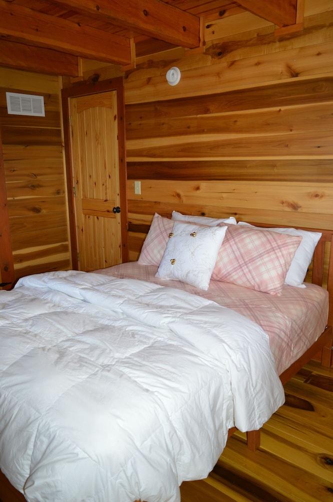 Most charming cabin blended with rustic warmth & modern comfort in ...
