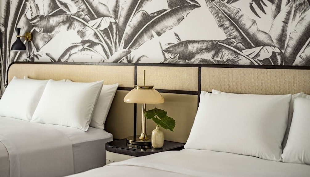 2 Airy Suites For A Peaceful Palm Beach Stay Near Juno Beach - Jupiter, FL