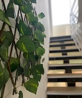 Escadaria com design moderno, cercada por plantas verdes.