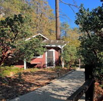 Sugar Pine | Vista para o jardim