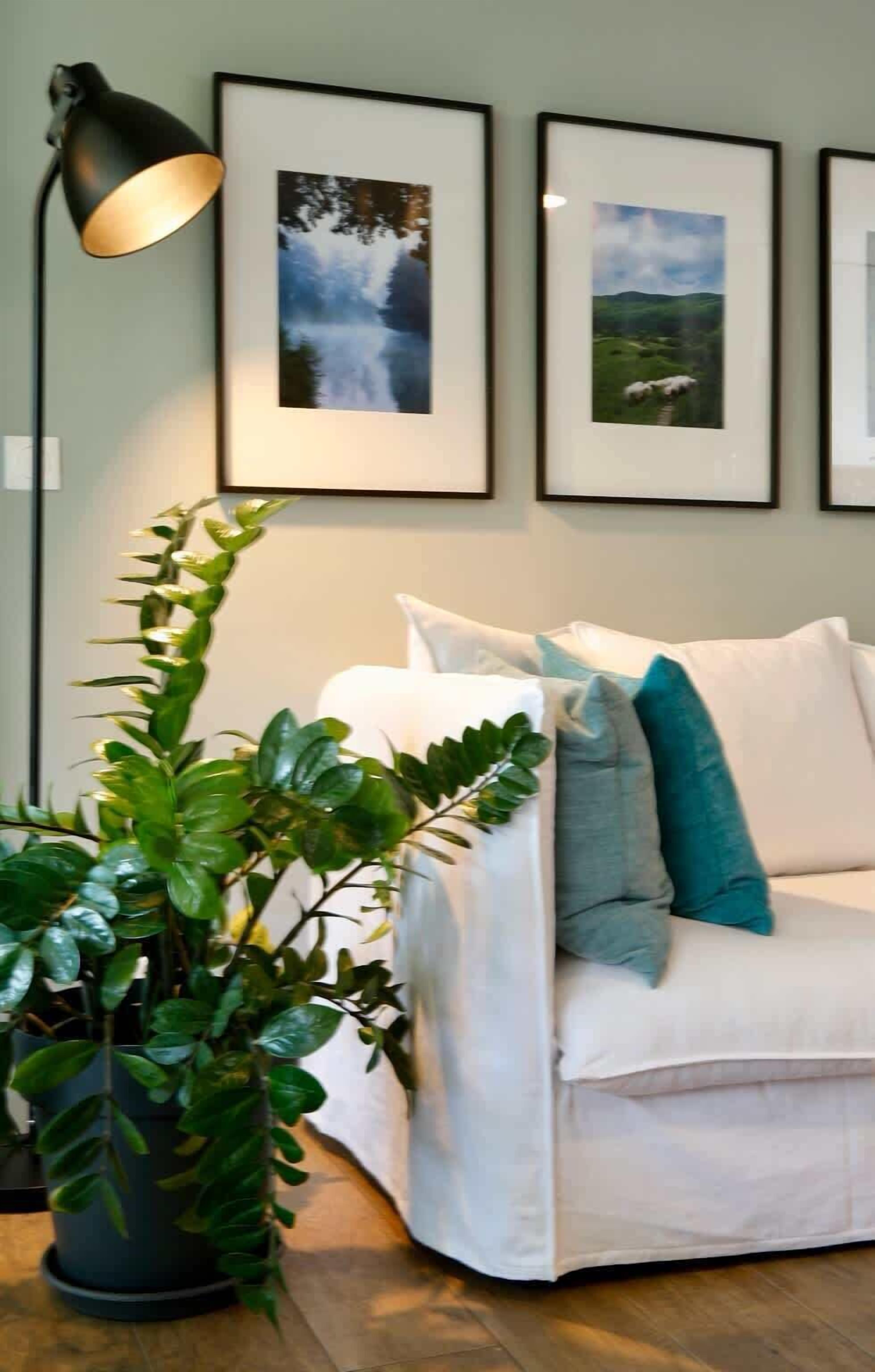 Appt T2 Fort De France-didier. Terrasse Et Piscine Dans Un Grand Parc Arboré - Fort-de-France