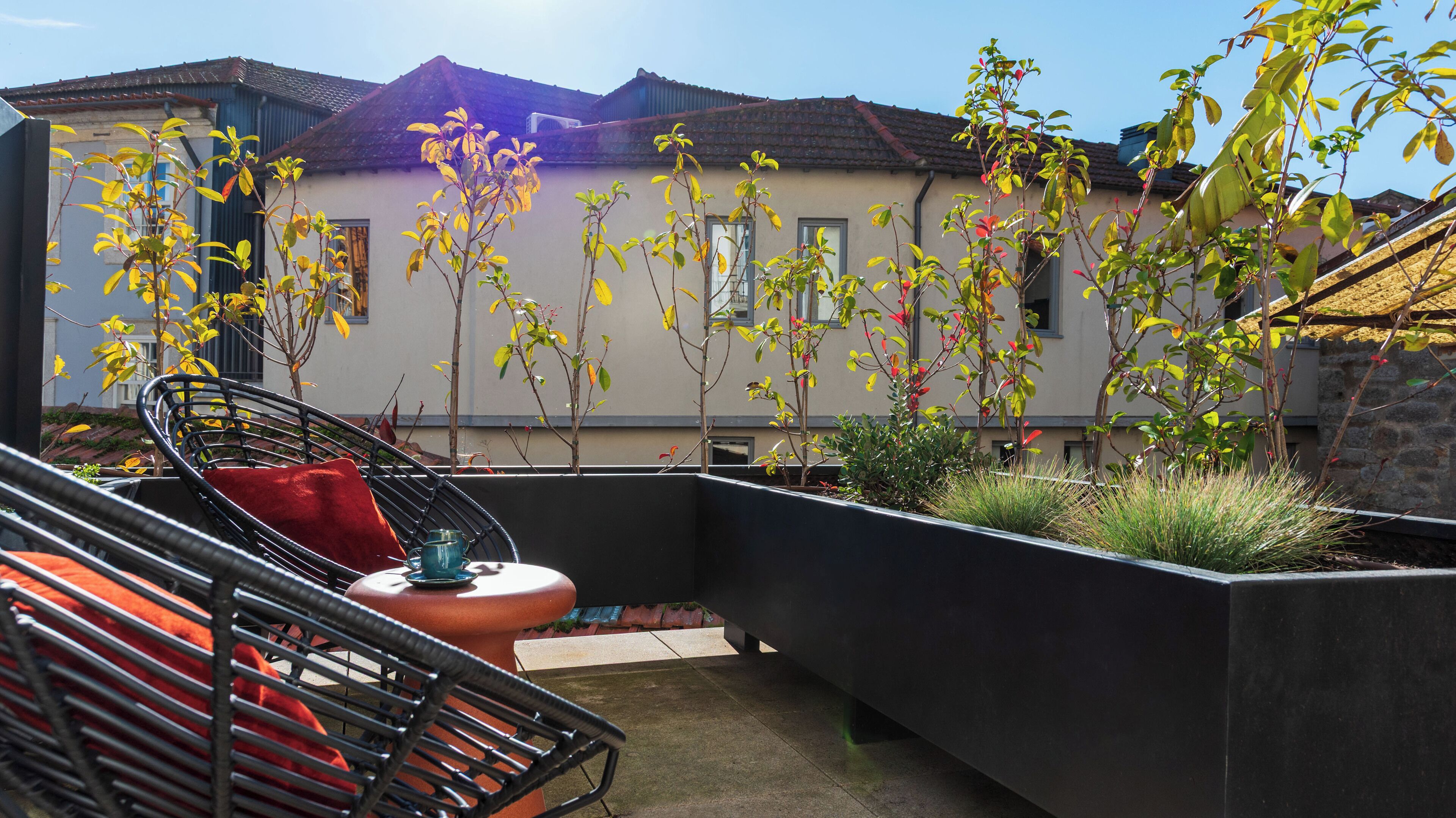 Apartamento Comfort | Terraço/pátio interior