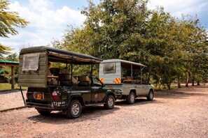 Passeios para observação de animais