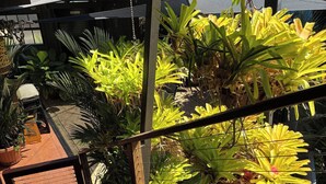 Apartamento, 2 quartos, fumadores, varanda | Jardim