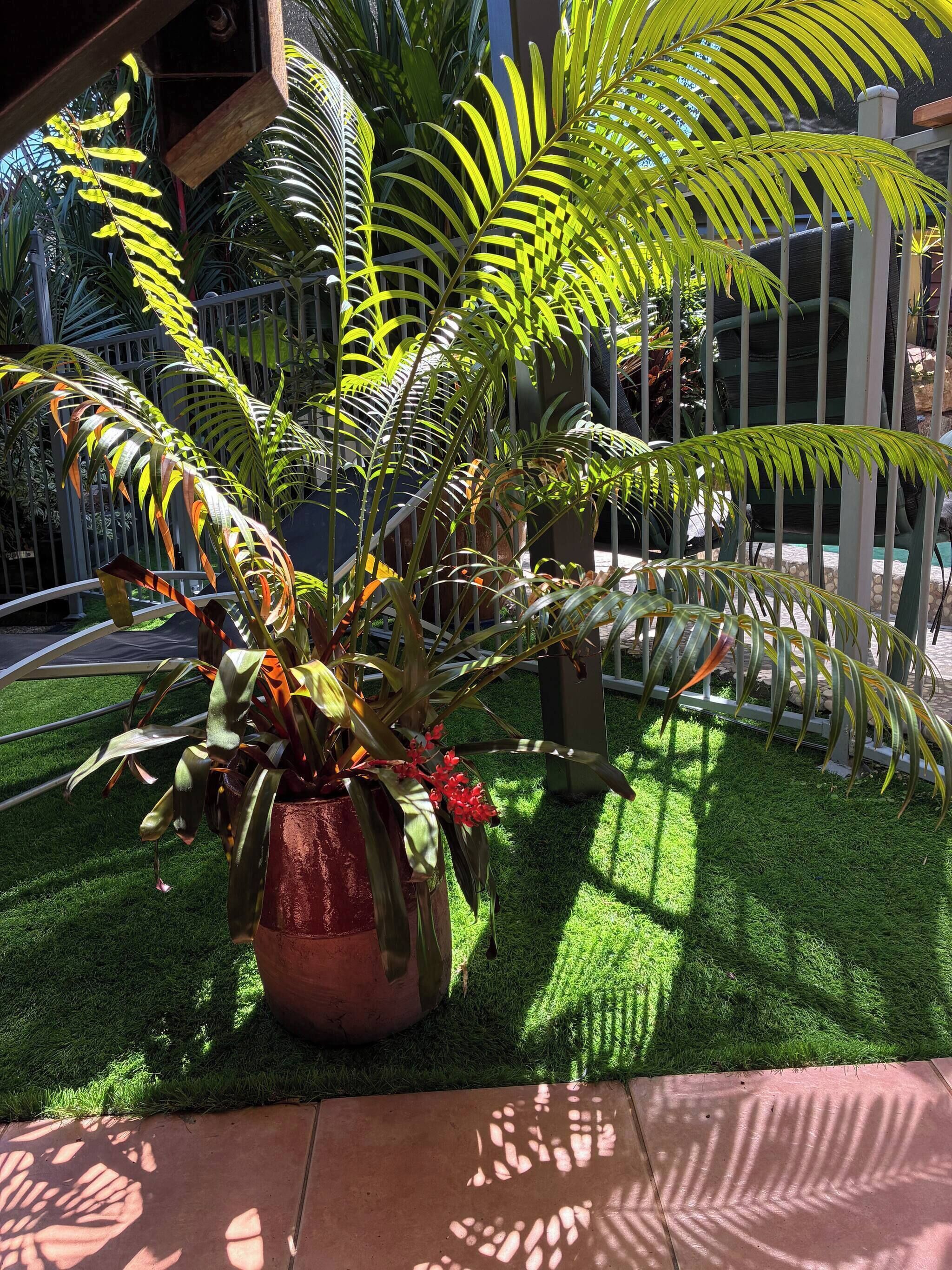 Apartamento, 2 quartos, fumadores, varanda | Jardim