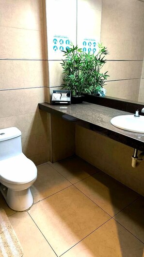 Um polibã, toalhas fornecidas, sabão, champô 