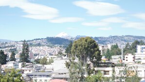 Paisagem urbana com uma montanha imponente ao fundo.