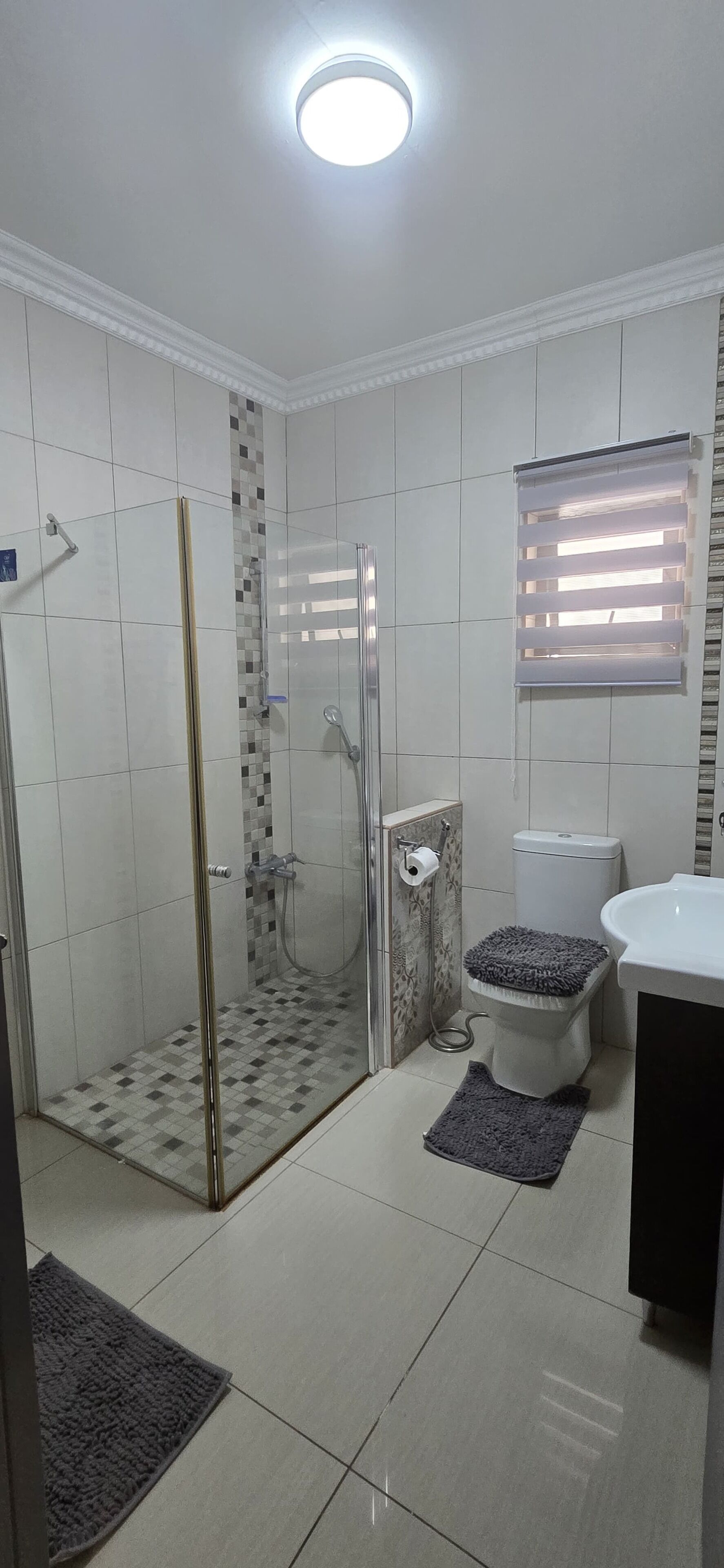 Casa de banho moderna com chuveiro de vidro, sanita com assento de privacidade e lavatório com espelho.