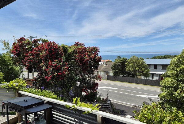 Centrally Located Hilltop Apartment - Kaikōura