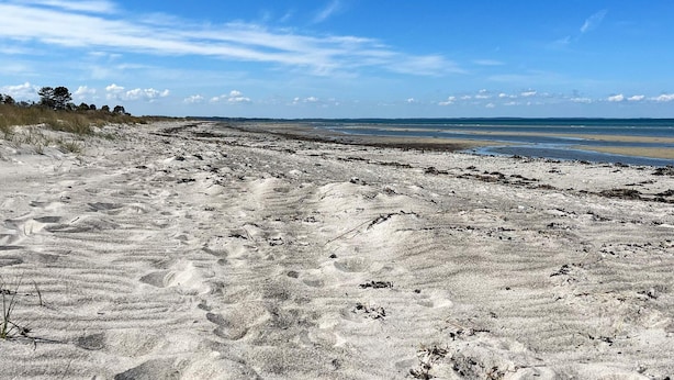 Uma praia arenosa com pegadas, vegetação rasteira e céu claro.