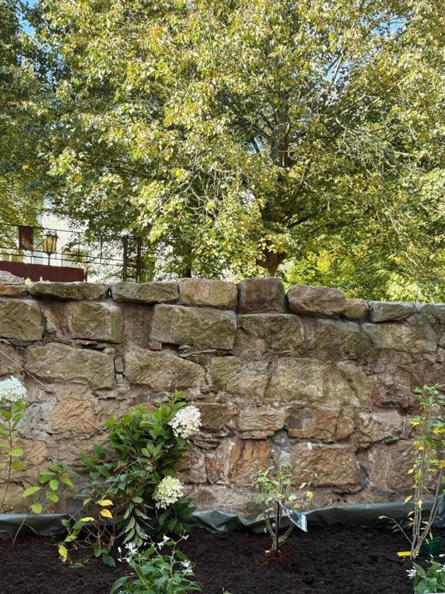 Terrenos do alojamento